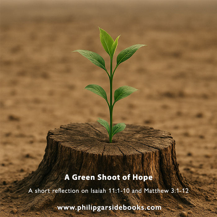 Advent 2 – A Green Shoot of Hope a Short Reflection by Philip Garside ...